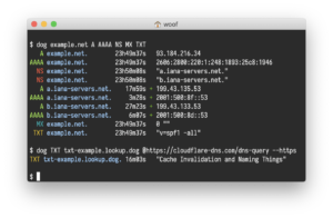 Oblivious DNS over HTTPS (ODoH) and Dog command-line DNS client — nixFAQ